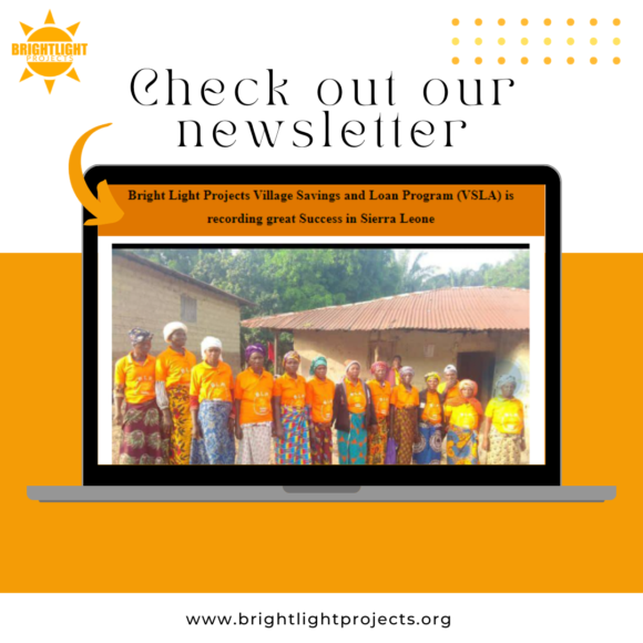 BLP January 2024 Newsletter - Bright Light Projects